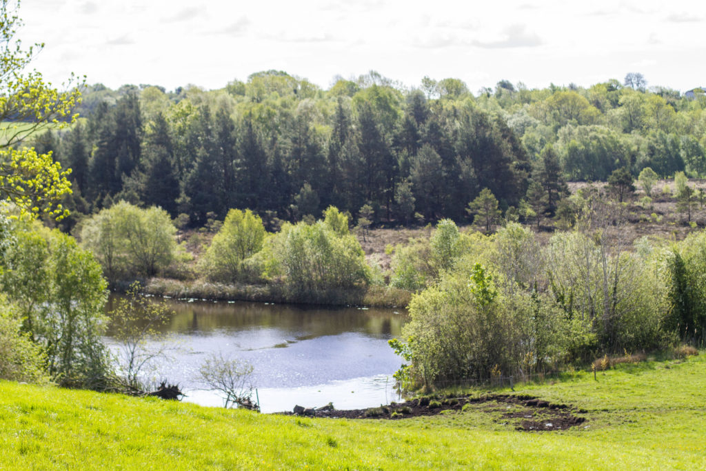 The Bottomless Lakes of Offaly County, Ireland • Port Wine & Adventure